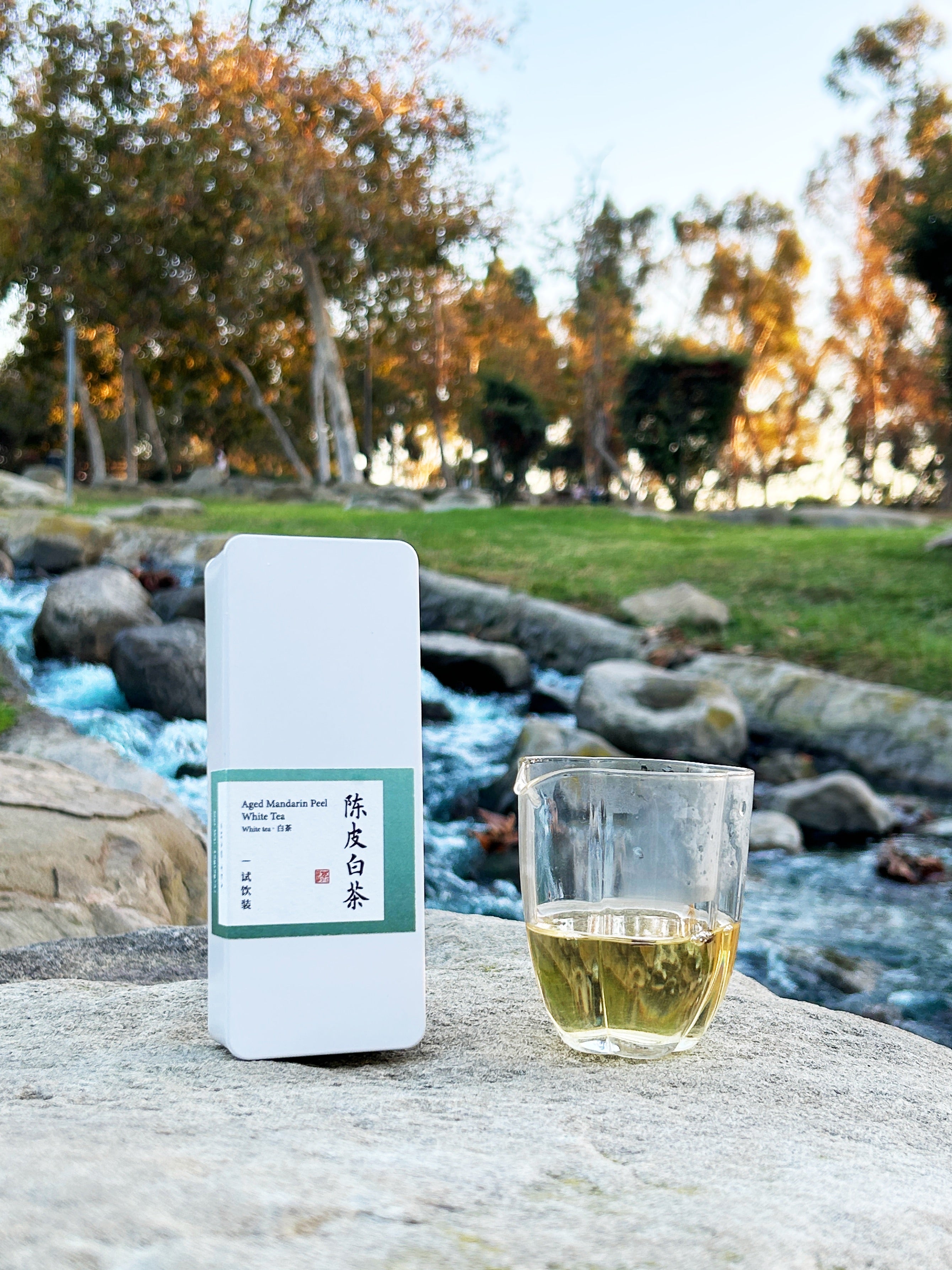 4 Common Brewing Methods for White Tea - ZhaoTea