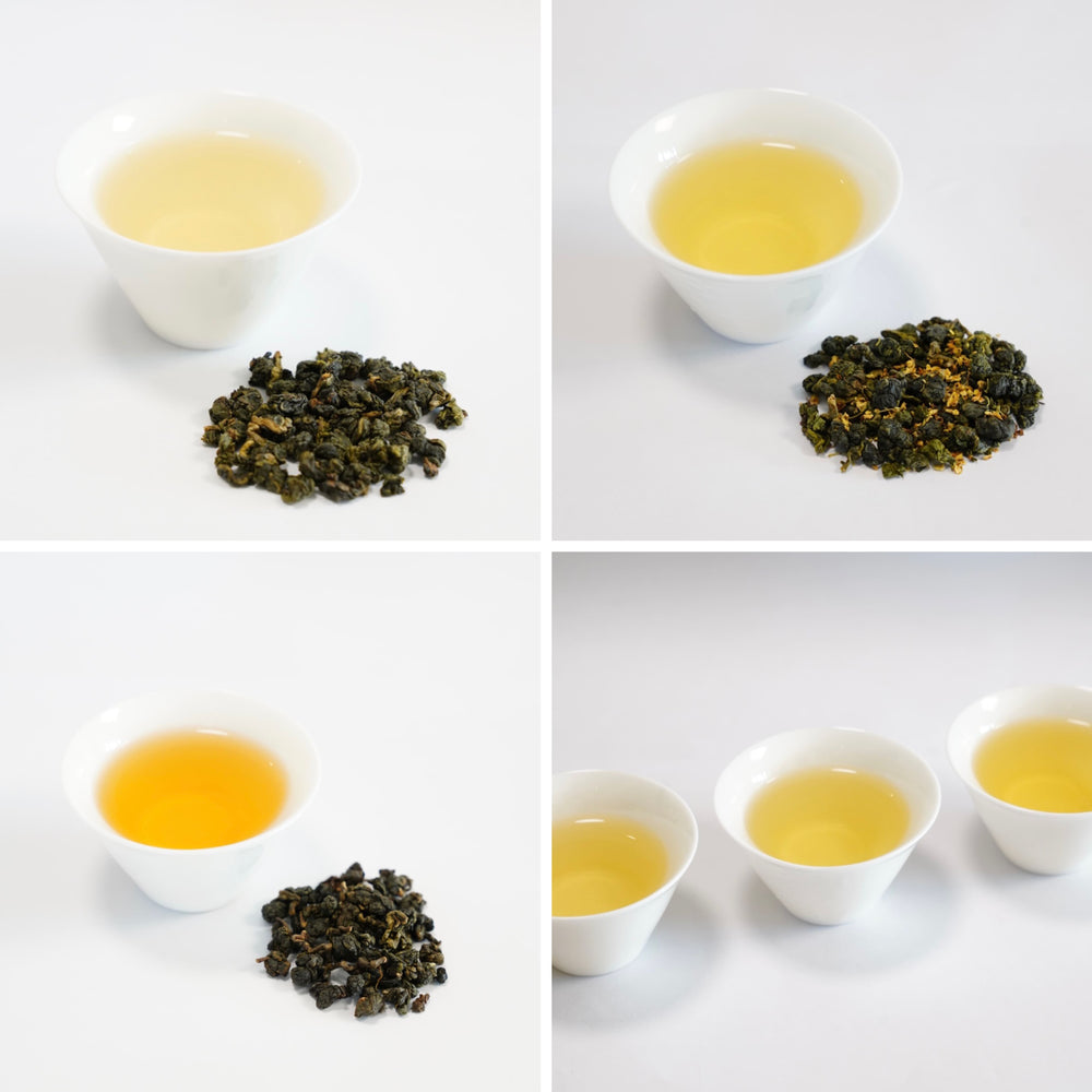 Taiwan Oolong Tea Tasting Kit 台湾茶品鉴装 - ZhaoTea