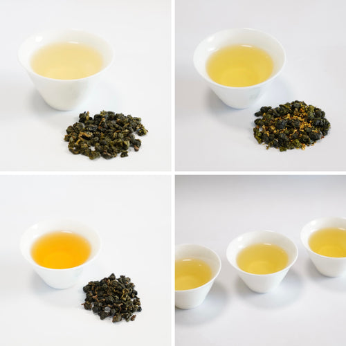 Taiwan Oolong Tea Tasting Kit 台湾茶品鉴装 - ZhaoTea