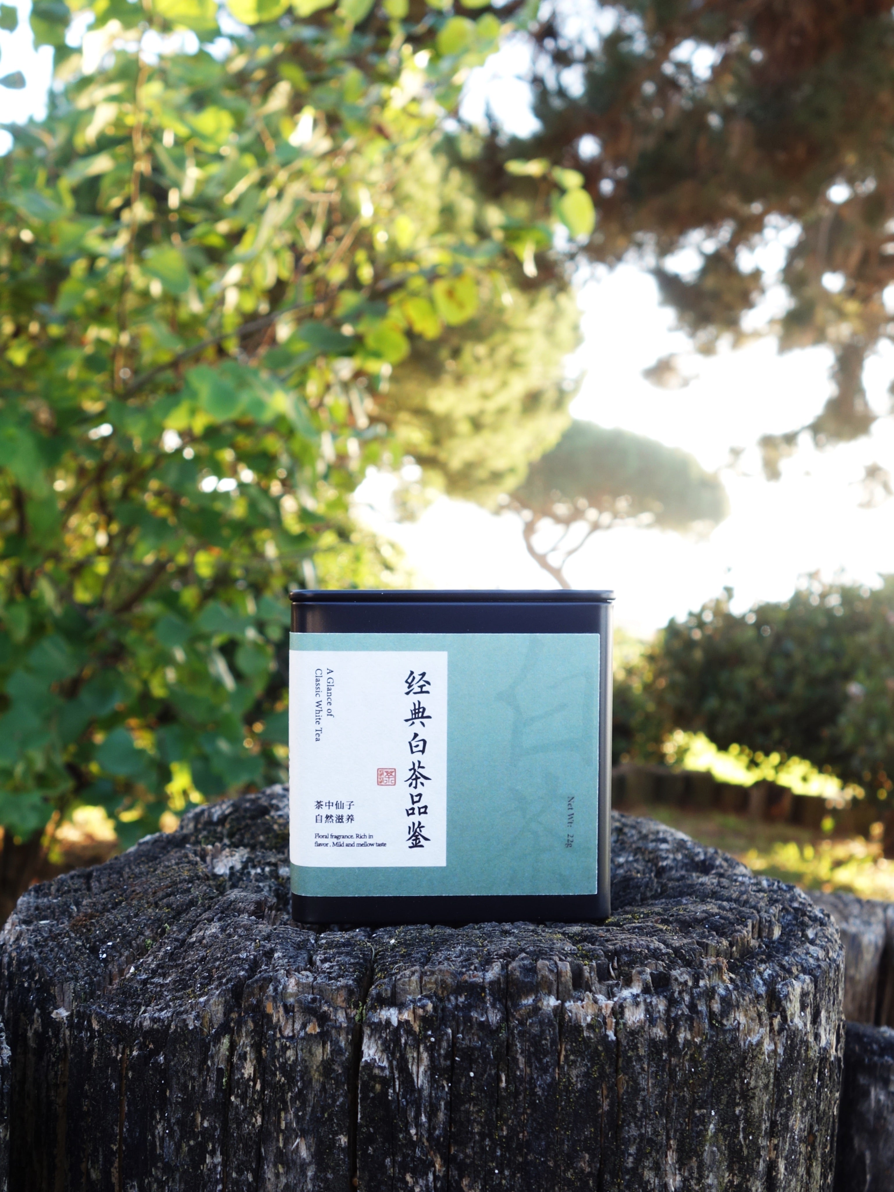 White Tea Tasting Kit 白茶品鉴装 - ZhaoTea